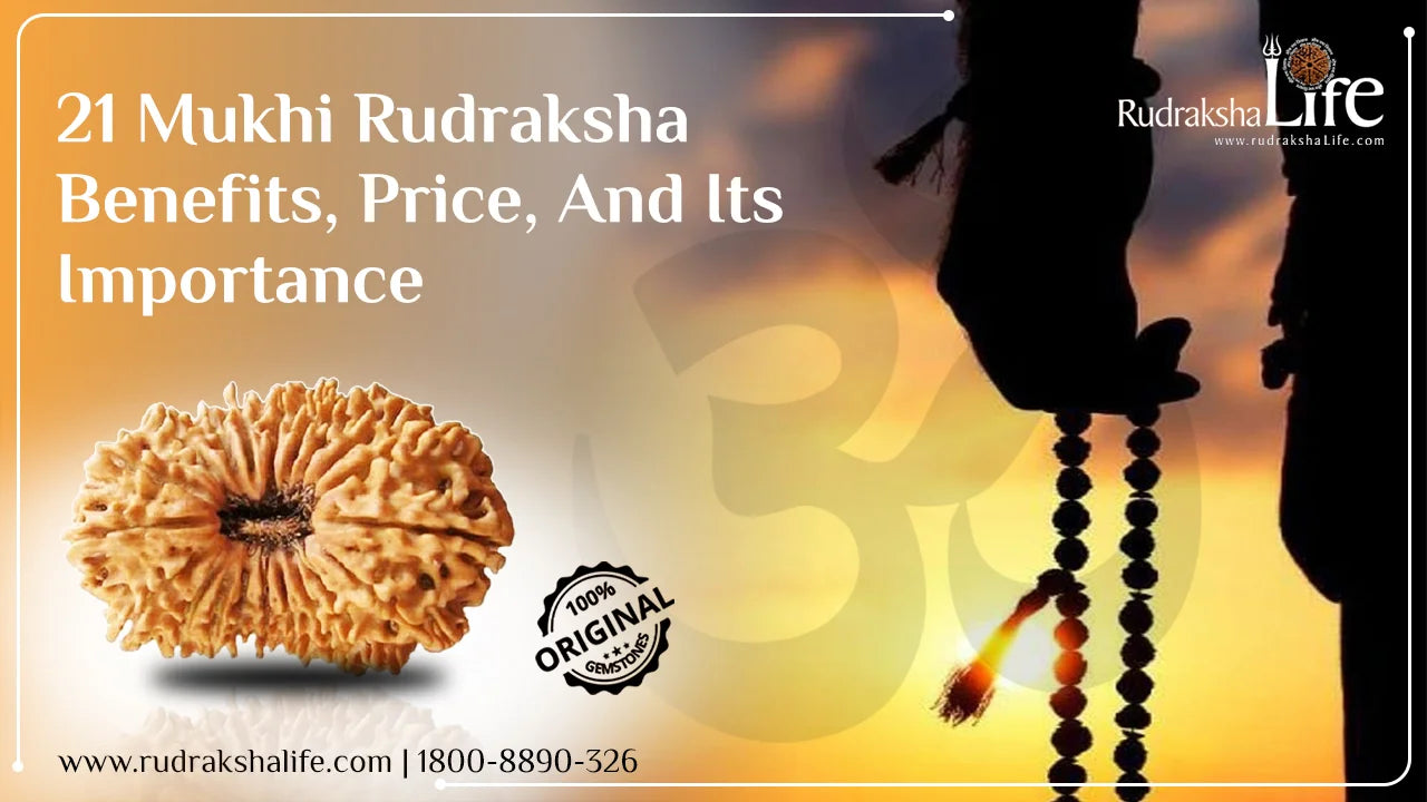 21 Mukhi Rudraksha Benefits, Price, And Its Importance – Rudraksha Life